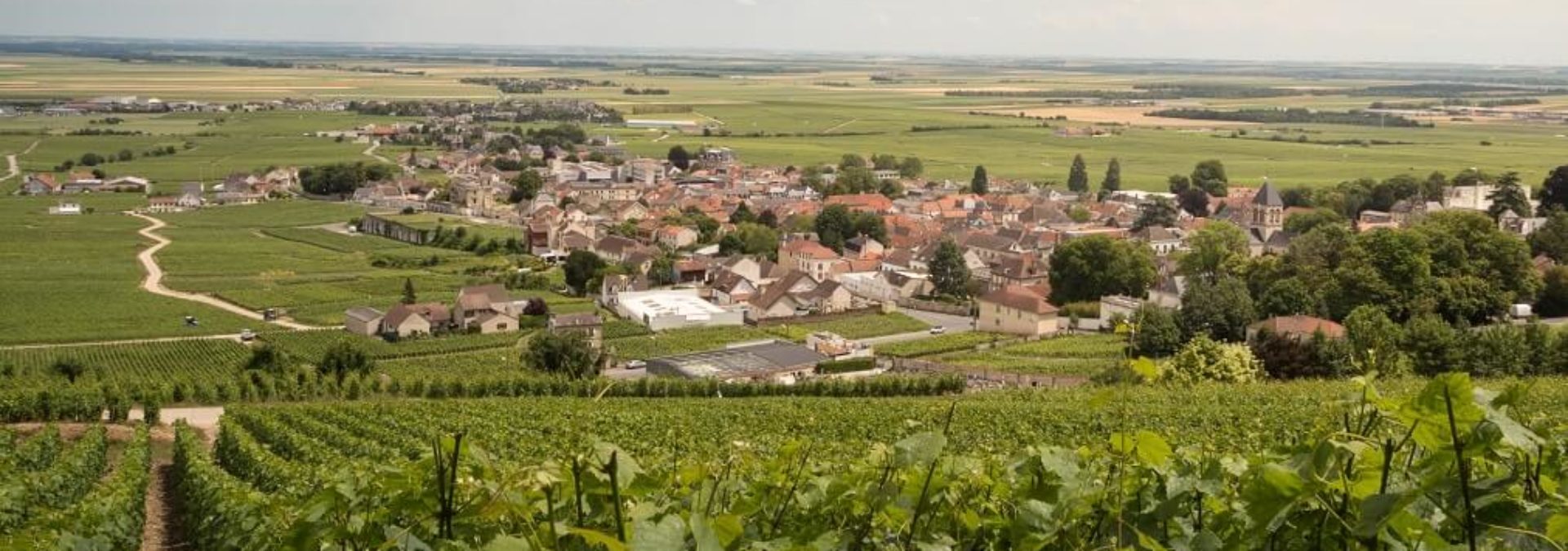 FRANCK PASCAL • 51700 Baslieux-sous-Châtillon • Site touristique ...